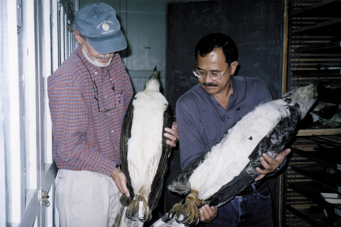 Meet — Haribon Foundation