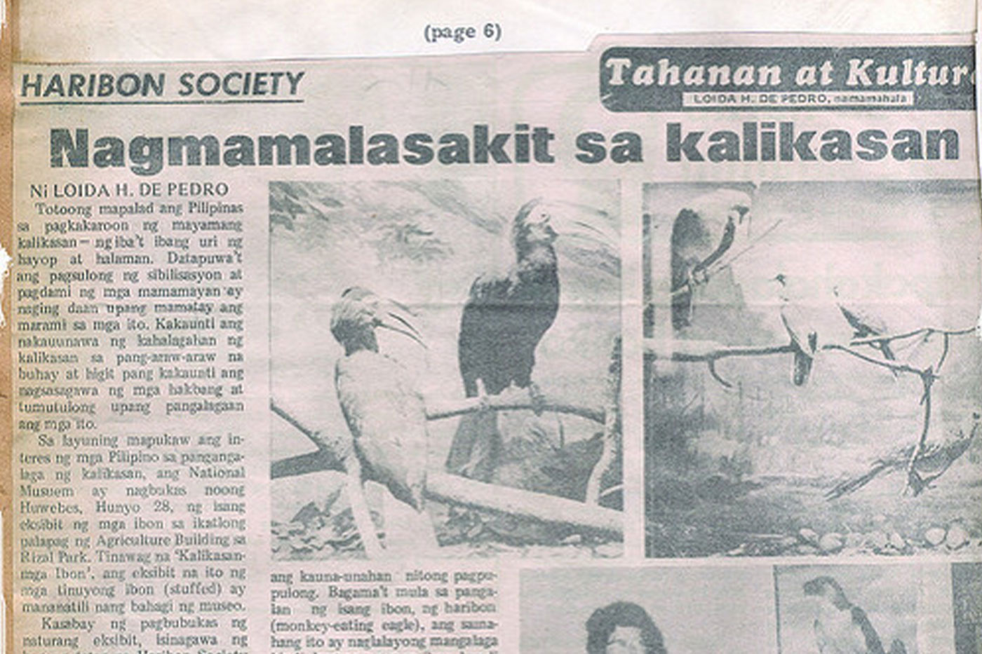 Meet — Haribon Foundation